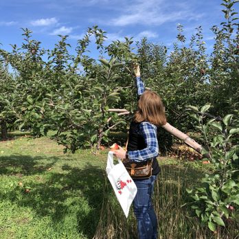 WINDY HILL ORCHARD & FARM MARKET - Updated October 2025 - 577 East St ...