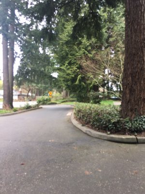 IVANHOE PARK - Updated December 2025 - 17 Photos - 16600 Northup Way ...