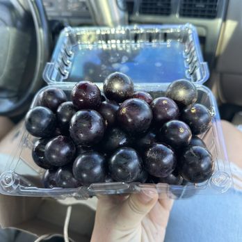 CULLIPHER FARM - Updated August 2025 - 371 Photos & 60 Reviews - 772 ...