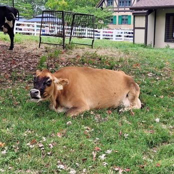 GRANT’S FARM - Updated May 2025 - 839 Photos & 408 Reviews - 10501 ...