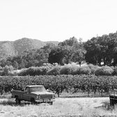 ROBERT HALL WINERY - Updated May 2026 - 411 Photos & 241 Reviews - 3443 ...