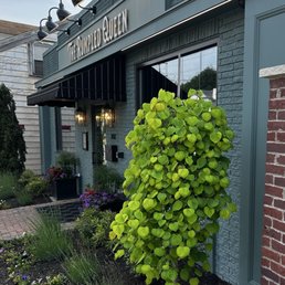 THE RUMPLED QUEEN - Updated July 2025 - 12 Photos - 387 S Broadway Ave ...