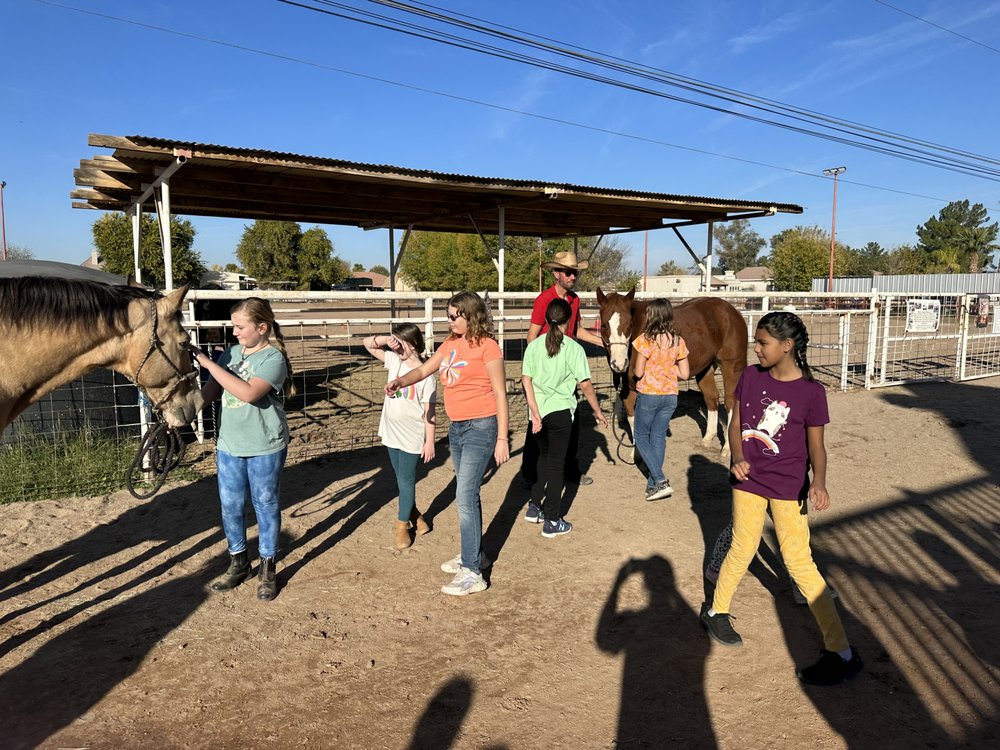 EQUINE CONNECTIONS - Updated August 2025 - 25 Photos - 13902 E Morgan ...