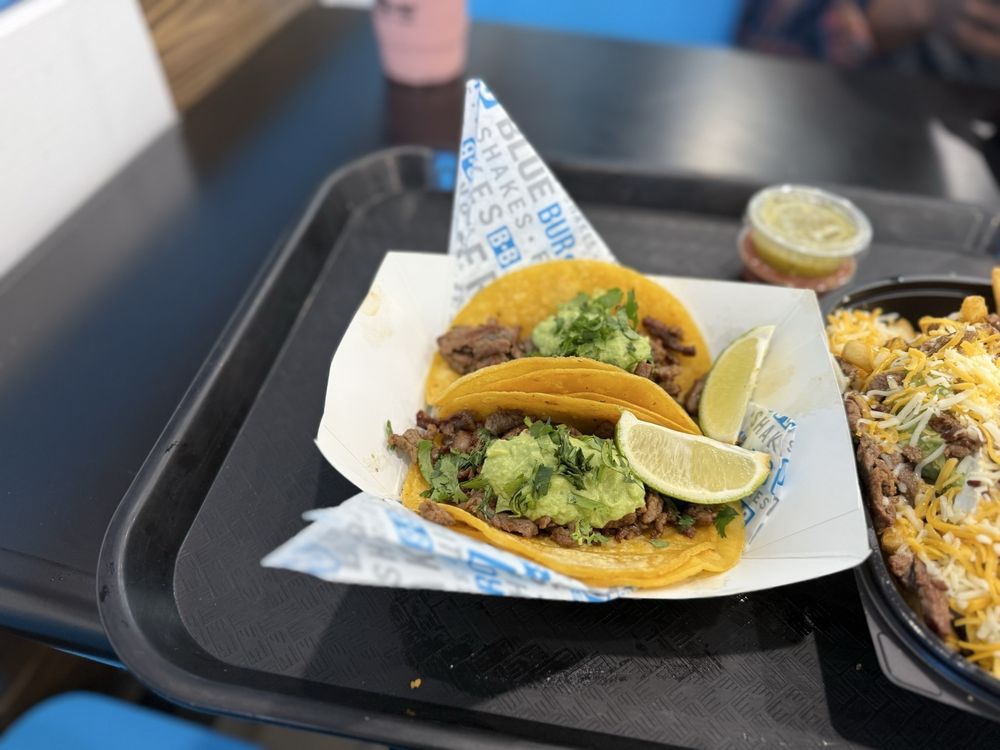 BLUE BURRO - Updated December 2025 - 71 Photos & 74 Reviews - 1201 ...