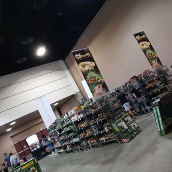 REPTICON JACKSONVILLE REPTILE SHOW - Updated September 2025 - 38 Photos ...