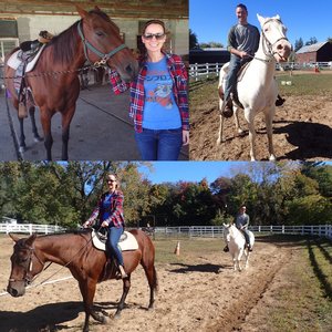 KRUMKILL STABLES - 16 Photos & 11 Reviews - 460 Krumkill Rd, Albany ...