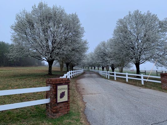 FOOTHILLS AT RED OAK RECOVERY - Updated December 2025 - 16 Photos - 517 ...