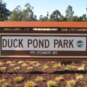 DUCK POND PARK - Updated December 2025 - 31 Photos - 997 Sycamore Ave ...
