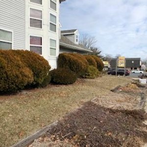 CAPE VETERINARY HOSPITAL - Updated August 2025 - 47 Photos & 36 Reviews ...