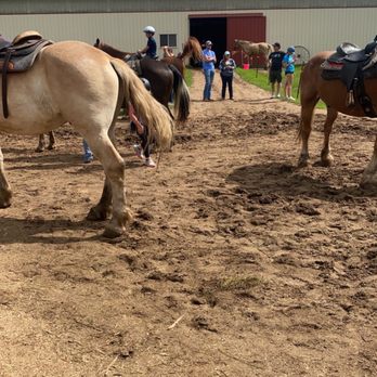 RED RIDGE RANCH RIDING STABLES - Updated October 2025 - 92 Photos & 59 ...