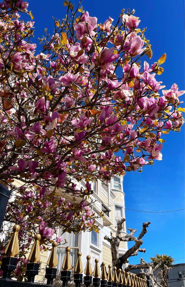 NORTH OF THE PANHANDLE - Updated September 2025 - 158 Photos & 29 ...