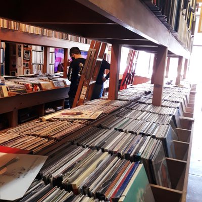 THE RECORD COLLECTOR - Updated March 2025 - 49 Photos & 296 Reviews ...