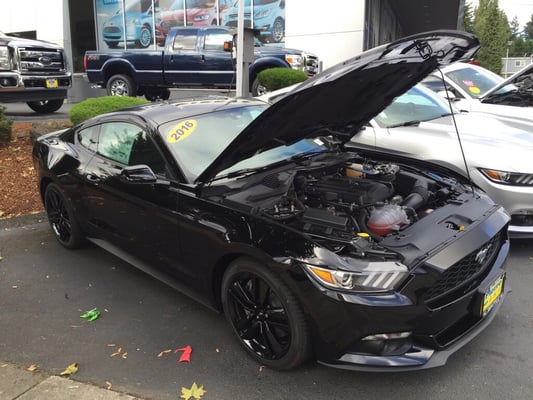 PIERRE FORD - Updated January 2026 - 49 Photos & 446 Reviews - 11525 ...