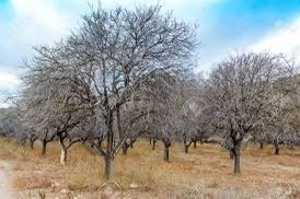 COLBY MANAGEMENT - Updated December 2025 - 34 Reviews - 17220 N Boswell ...