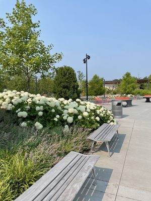 PROMENADE PARK - Updated July 2025 - 67 Photos & 12 Reviews - 202 W ...