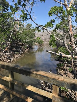 LONG KEY STATE PARK - 171 Photos & 63 Reviews - Parks - 67400 Overseas ...