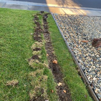 FIDIUM FIBER - Updated October 2025 - 78 Reviews - Roseville ...