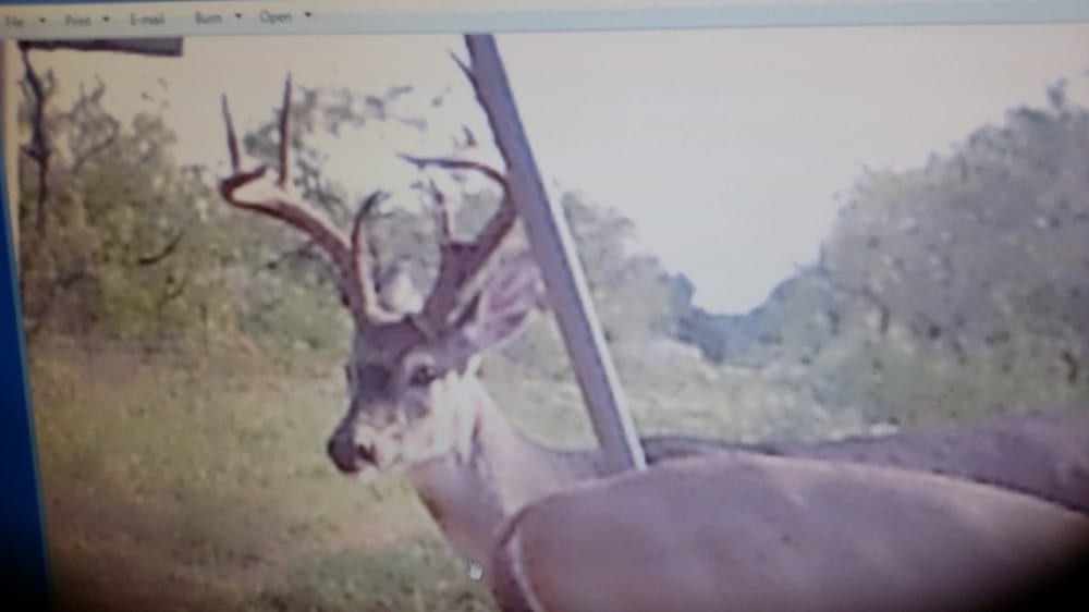 SAN CRISTOBAL RANCH - Updated August 2025 - 1520 Fm 2294, Delmita ...