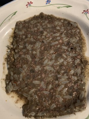 MEAT’N PLACE AT CAUGHMAN’S - Updated December 2025 - 16 Reviews - 164 ...