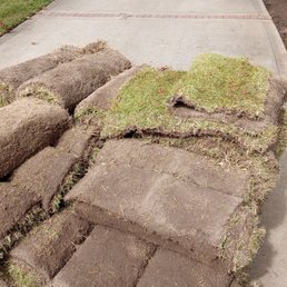 Super-Sod Reviews | Read Customer Service Reviews of supersod.com