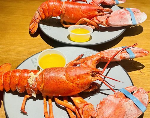 ROYAL BUFFET AND GRILL - Updated July 2024 - 59 Photos & 27 Reviews ...