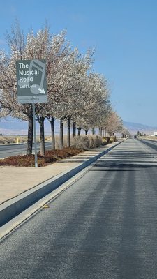 MUSICAL ROAD - Updated January 2026 - 55 Photos & 141 Reviews - 3315 W ...