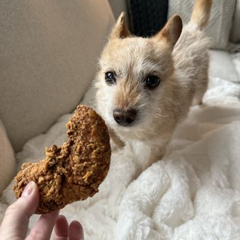 FYVE BROS - Updated June 2025 - 1581 Bloomingdale Rd, Glendale Heights ...