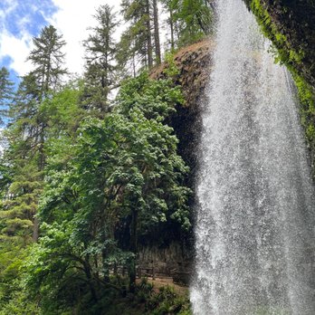 SILVER FALLS STATE PARK - Updated July 2025 - 1623 Photos & 342 Reviews ...