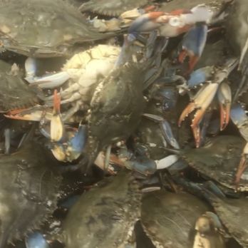 88 RANCH MARKETPLACE - Updated April 2025 - 321 Photos & 269 Reviews ...