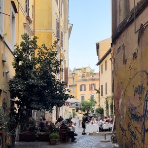 DAR POETA - 456 Photos & 450 Reviews - Vicolo del Bologna 45, Roma ...