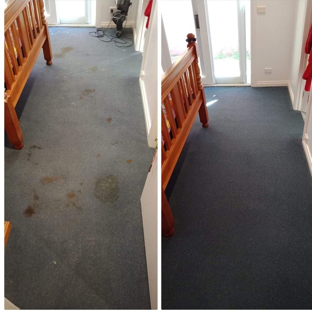 Carpet Cleaning Anderson Sc