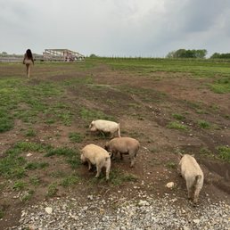 ISINGLASS ESTATE - Updated July 2025 - 45 Photos & 18 Reviews - 16241 W ...