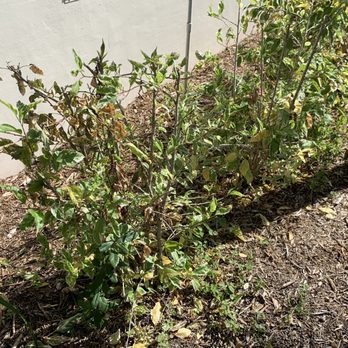 FOAMBRITE ROOF CLEANING - Updated August 2025 - 26 Photos & 23 Reviews ...