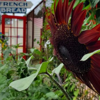 TEXAS FRENCH BREAD - Updated October 2025 - 255 Photos & 418 Reviews ...