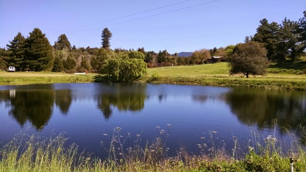 LULA CELLARS - Updated November 2024 - 101 Photos & 108 Reviews - 2800 ...