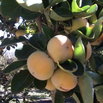 BAR 2 RANCH - Updated October 2025 - 68 Photos & 36 Reviews - 14797 Hwy ...