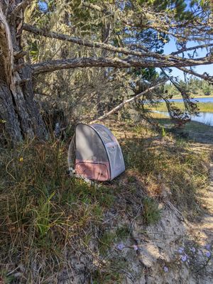 HORSFALL BEACH CAMPGROUND AND DAY USE AREA - Updated December 2025 - 26 ...