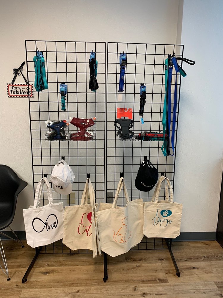 KINGS SPCA - Updated December 2025 - 34 Photos - 1675 W Lacey Blvd ...