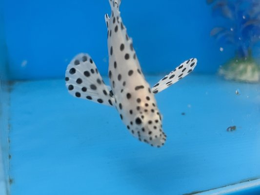 THAT FISH PLACE - THAT PET PLACE - Updated July 2025 - 149 Photos & 151 ...