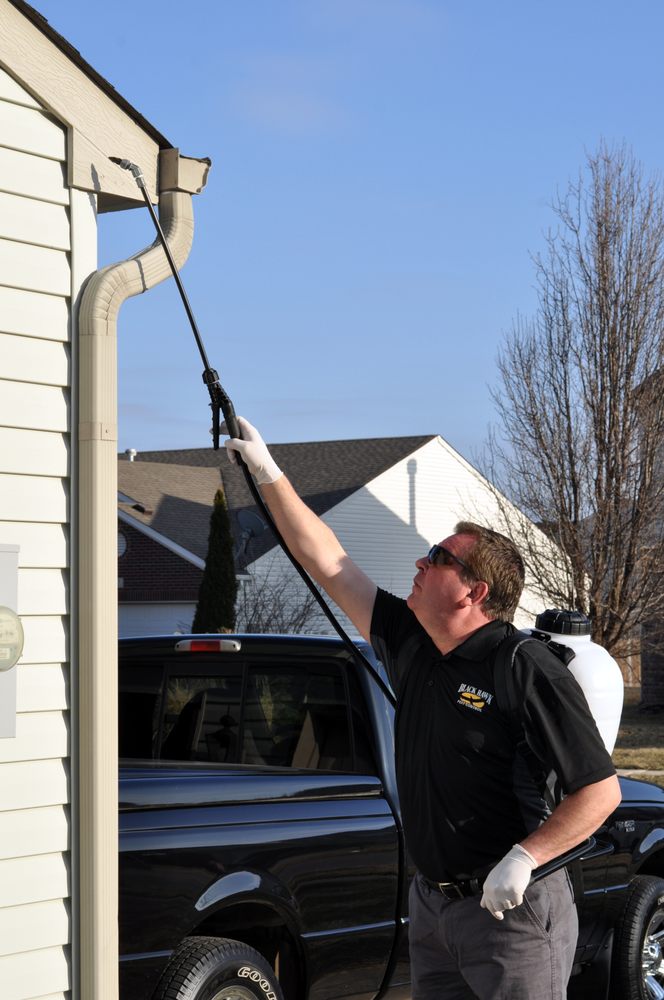 BLACK HAWK PEST CONTROL - Updated October 2025 - 30 Reviews - 6638 ...