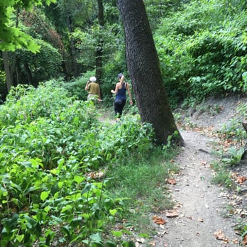 EMERALD VIEW PARK - Updated December 2025 - 81 Photos - Mount ...