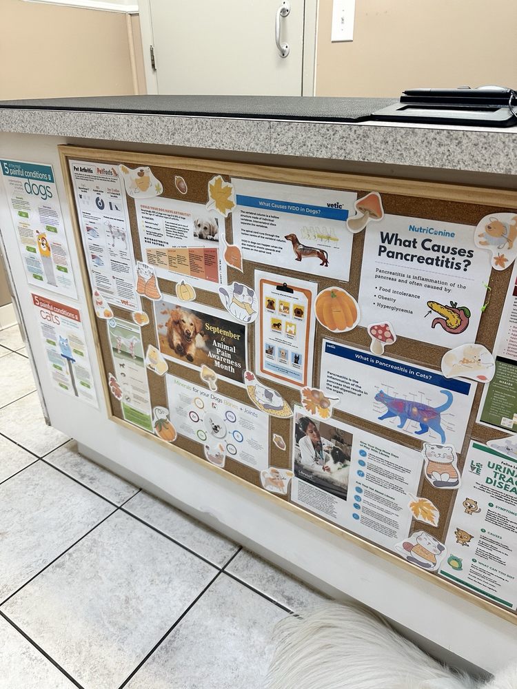 JACKSON VETERINARY HOSPITAL - Updated May 2026 - 17 Photos & 55 Reviews ...