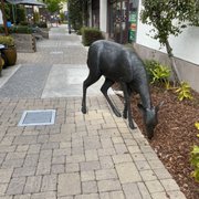 ALAMEDA SOUTH SHORE CENTER - 211 Photos & 74 Reviews - Shopping Centers ...