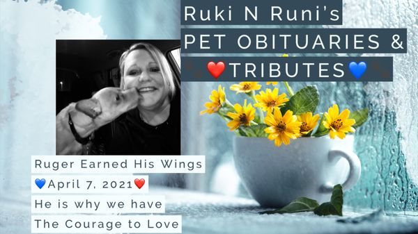 RUKI N RUNI HOUSE CHIHUAHUA RESCUE & REHAB - Updated September 2025 - 26 Photos - Boise, Idaho ...