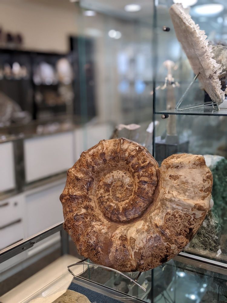 GEOFOSSILES ROCK SHOP - 29 Photos - 5631 N Academy Blvd, Colorado ...