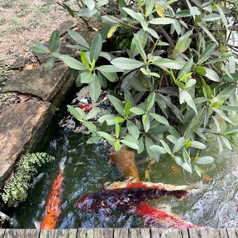 ISAAC FARMS - Updated January 2026 - 456 Photos & 113 Reviews - 18800 ...