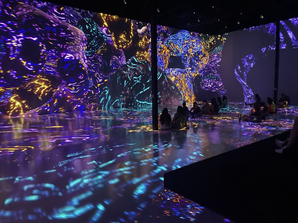 ARTECHOUSE - Updated November 2024 - 61 Photos & 18 Reviews - 600 W 6th ...