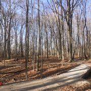 CARPENTER LAKE NATURE PRESERVE - 149 Photos & 41 Reviews - 10 Mile Rd ...