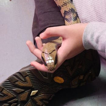 ZOO CREATURES PET STORE - Updated December 2025 - 83 Photos & 70 ...