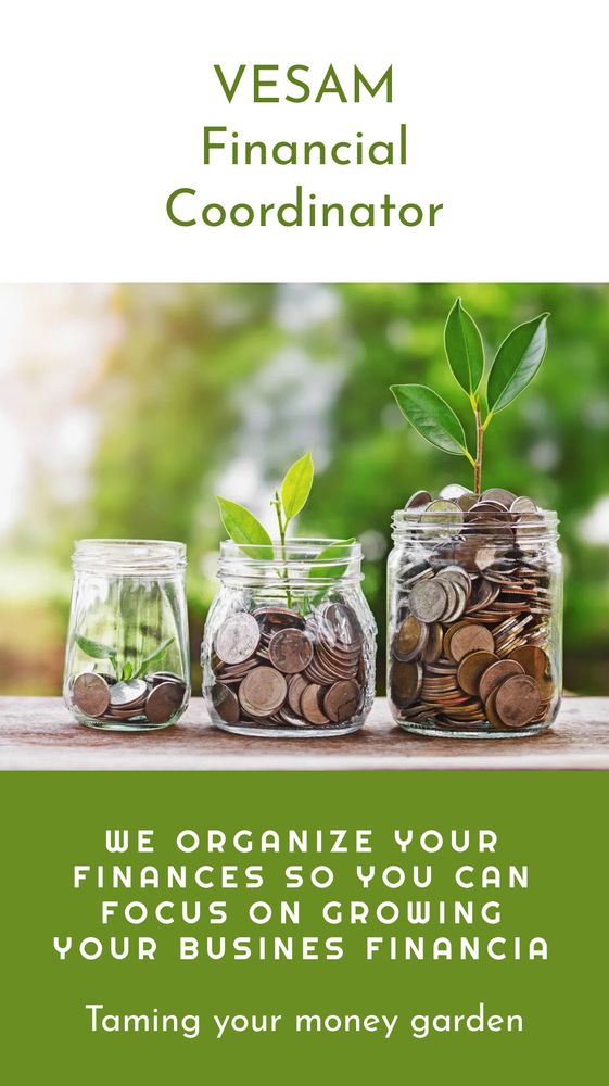 VESAM FINANCIAL - BOOKKEEPING SERVICES - Updated July 2025 - 13 Photos ...